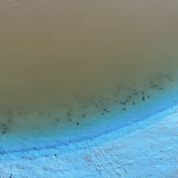 GOOD TIMES OF OLEAN - Updated December 2025 - 49 Photos & 21 Reviews ...