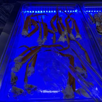 FUSION BUFFET - Updated November 2025 - 814 Photos & 336 Reviews - 486 ...