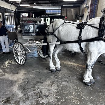 PALMETTO CARRIAGE WORKS - Updated June 2026 - 784 Photos & 817 Reviews ...