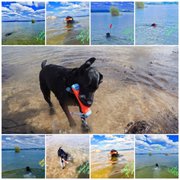 BEALS POINT CAMPGROUND - 53 Photos & 24 Reviews - 7806 Folsom Lake ...