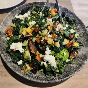 BAR SALOTTO - Updated April 2025 - 176 Photos & 90 Reviews - 1421 N ...