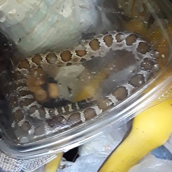 STANDISH-HICKEY STATE RECREATION AREA - Updated August 2024 - 67 Photos ...