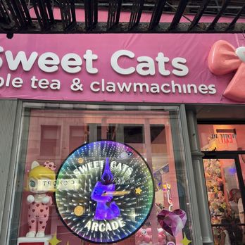 SWEET CATS CAFE - Updated October 2025 - 135 Photos & 29 Reviews - 21 E ...