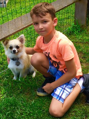 JACK’S DOG FARM - Updated October 2025 - 35 Photos & 37 Reviews - 6370 ...