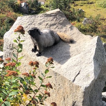 CUSTOMIZED TOURS - Updated January 2025 - 114 Photos & 82 Reviews ...