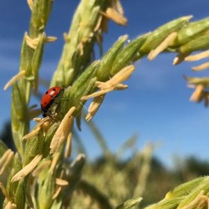 JONES FARM PRODUCE - Updated December 2025 - 23 Reviews - 10325 River ...