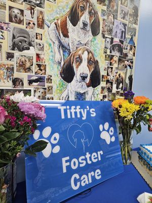 PET HELPERS - Updated January 2026 - 34 Photos & 50 Reviews - 1447 ...