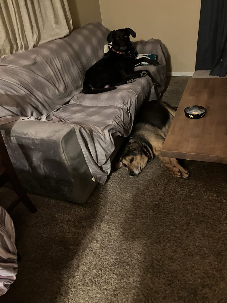 EYE BALL DRYWALL - Updated February 2025 - Indianapolis, Indiana ...