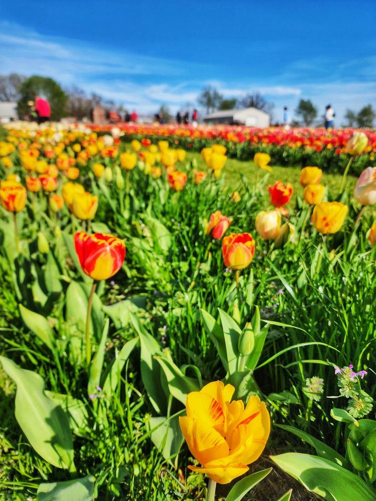 TRUE COLORS FARM - Updated July 2024 - 11 Photos - 13225 W Tycoon Rd ...