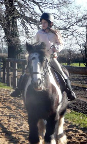 POOK LANE RIDING STABLES - Updated January 2025 - Pook Lane, Havant ...