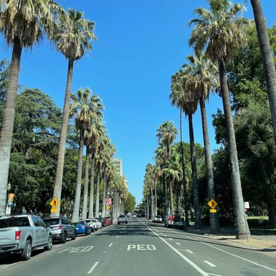 7-ELEVEN - Updated July 2025 - 19 Photos & 16 Reviews - 810 3rd Ave ...