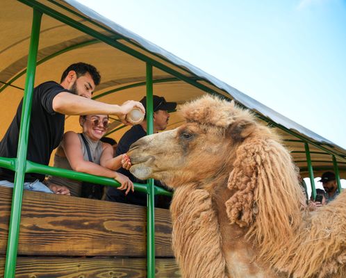 FRAGILE PLANET WILDLIFE PARK - Updated January 2026 - 38 Photos - 34748 ...