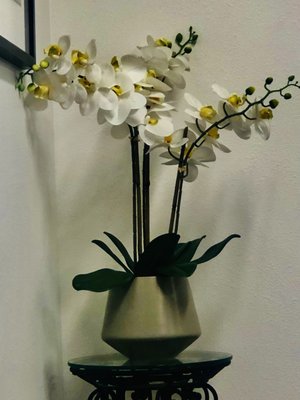 AZIMI CARDIOVASCULAR INSTITUTE - Updated December 2025 - 27 Photos & 17 ...