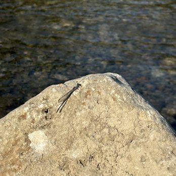 BLUE HOLE PARK - Updated December 2025 - 151 Photos & 50 Reviews - 101 ...