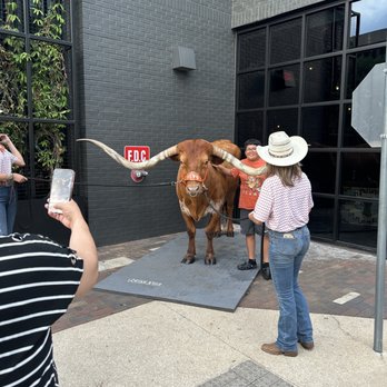 HAYWIRE - Updated May 2025 - 150 Photos & 36 Reviews - 11501 Rock Rose ...