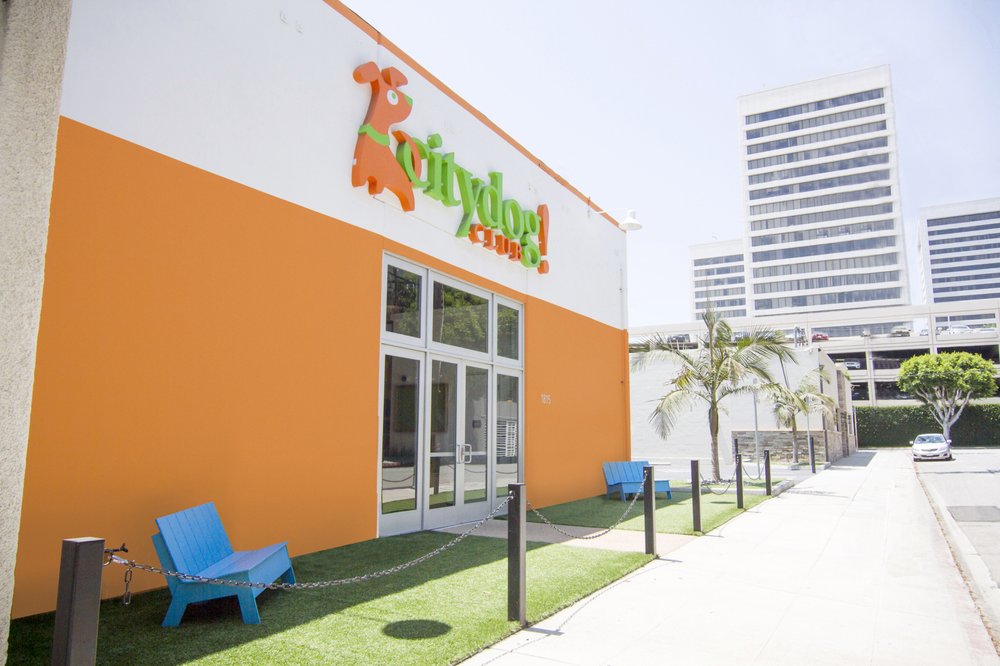 CITYDOG! CLUB - Updated June 2026 - 83 Photos & 234 Reviews - 1815 ...