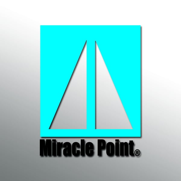 MIRACLE POINT - Updated June 2024 - 4131 W Orleans St, McHenry ...