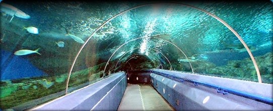 BLUE PLANET AQUARIUM - Updated December 2024 - 11 Photos - Kinsey Rd ...