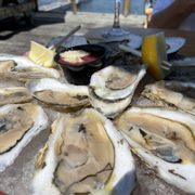 FISH HOUSE GRILL - 149 Photos & 169 Reviews - Seafood - 1 West St, Bar ...