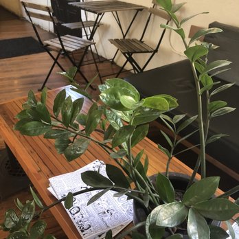 REANIMATOR COFFEE - Updated February 2025 - 57 Photos & 114 Reviews ...