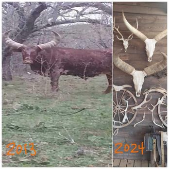 INDEPENDENCE RANCH - Updated January 2026 - 239 Photos & 98 Reviews ...