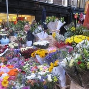 GPO ARCADE - Henry St, Dublin, Republic of Ireland - Shopping Centers ...