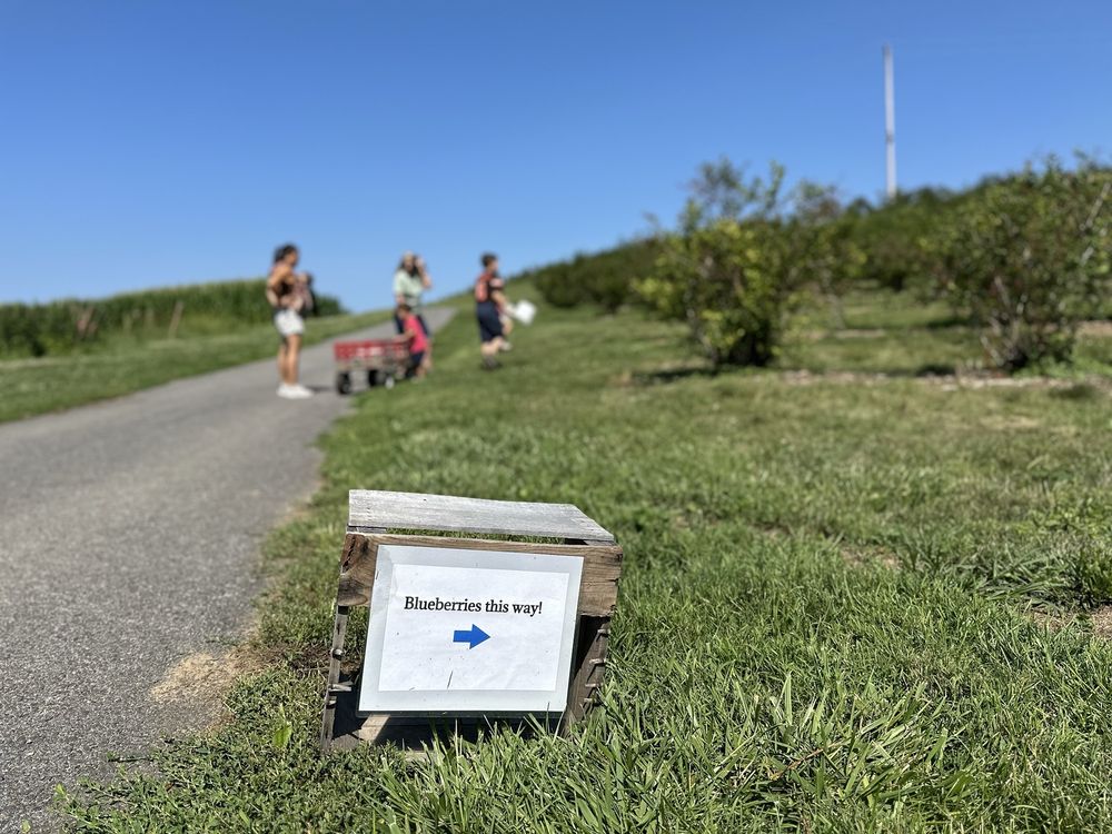 SHAW ORCHARDS - Updated October 2025 - 29 Photos & 16 Reviews - 5594 ...