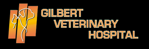 GILBERT VETERINARY HOSPITAL - 16 Photos & 41 Reviews - Veterinarians ...