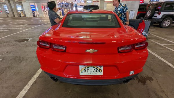 PAYLESS CAR RENTAL - Updated October 2025 - 35 Photos & 129 Reviews ...