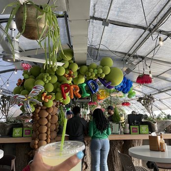 THE GREENHOUSE BAR - 319 Photos & 281 Reviews - 2211 Bandywood Dr ...