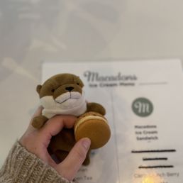 MACADONS - Updated July 2025 - 812 Photos & 419 Reviews - 826 S 3rd St ...