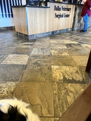 DALLAS VETERINARY SURGICAL CENTER - Updated December 2025 - 28 Photos ...