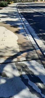 PAR-3 LANDSCAPE & MAINTENANCE - Updated December 2025 - 61 Photos & 24 ...