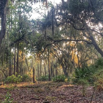 SPLIT OAK FOREST - Updated January 2025 - 71 Photos & 14 Reviews ...