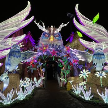 STOCKTON LANTERN FESTIVAL MAGIC FOREST - Updated October 2025 - 62 ...