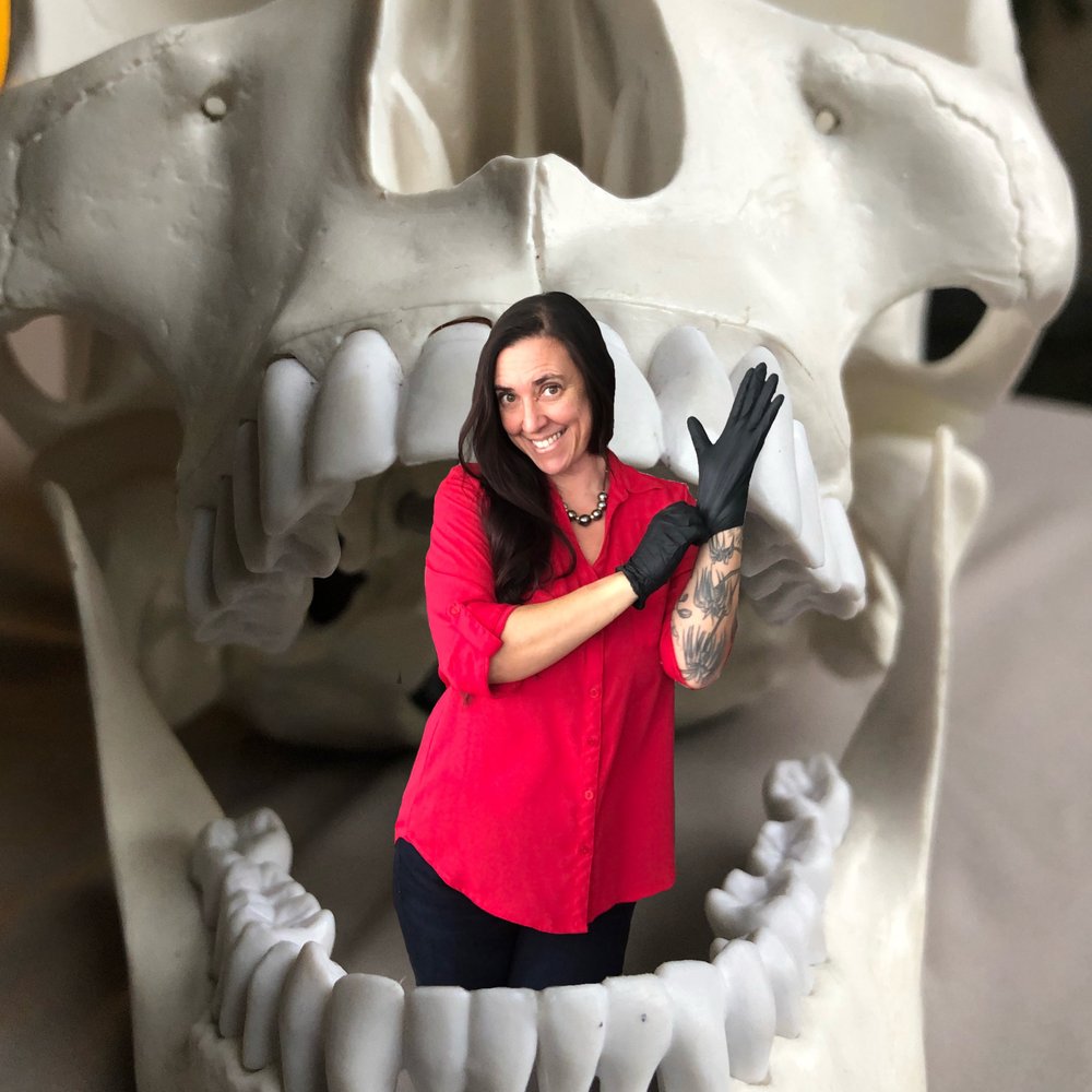 CARLA CARRASCO, LMT - CRANIOSACRAL THERAPY - Updated October 2025 - 16 ...