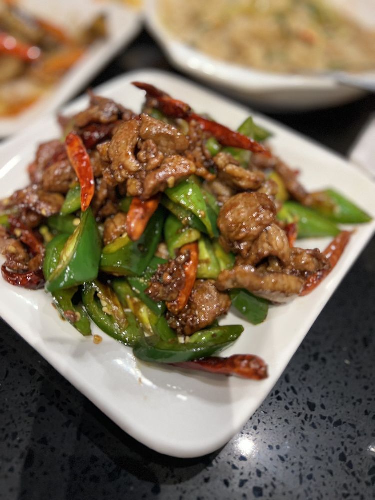 NEW NORTHERN DUMPLINGS - Updated December 2024 - 549 Photos & 83 ...