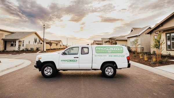 PRO ACTIVE PEST CONTROL - Updated January 2026 - 31 Photos & 218 ...