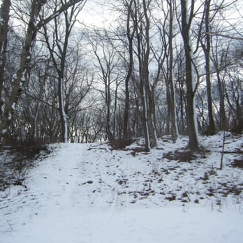 MIANTONOMI MEMORIAL PARK - Updated February 2025 - 39 Photos - Hillside ...