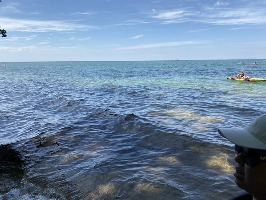 PORT AUSTIN KAYAK AND BIKE RENTAL - TEMP. CLOSED - Updated April 2024 ...