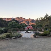 MEADOWLARK COUNTRY HOUSE - 54 Photos & 87 Reviews - 601 Petrified ...