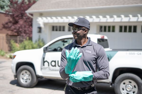 Hawx Pest Control Atlanta