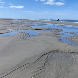 GRAYLAND BEACH STATE PARK - 44 Photos & 30 Reviews - 925 Cranberry ...