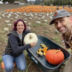 QUEENS PUMPKIN PATCH - Updated October 2025 - 256 Photos & 149 Reviews ...