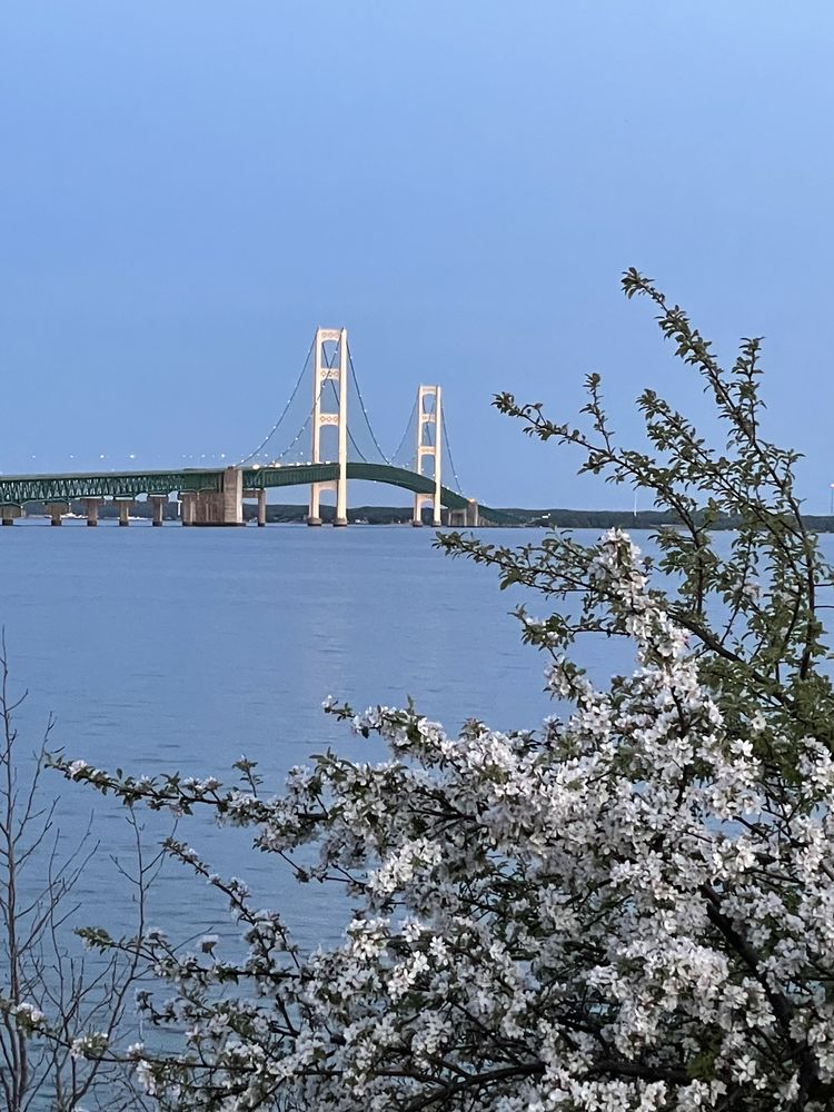 BRIDGE VIEW PARK - Updated August 2025 - 62 Photos & 15 Reviews ...