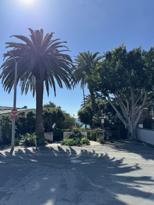 RUBY STREET PARK - Updated January 2025 - 2107 Ocean Way, Laguna Beach ...