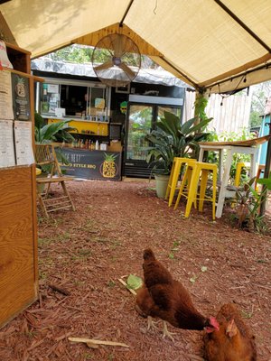 IRIE ISLAND EATS - 112 Photos & 82 Reviews - 4540 Overseas Hwy, Marathon, FL - Yelp