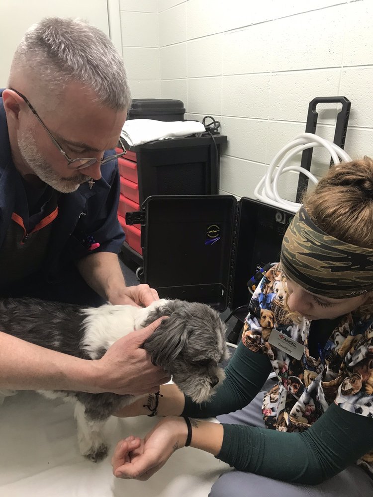 ANGEL ANIMAL HOSPITAL - Open for Business - 15 Photos & 19 Reviews ...