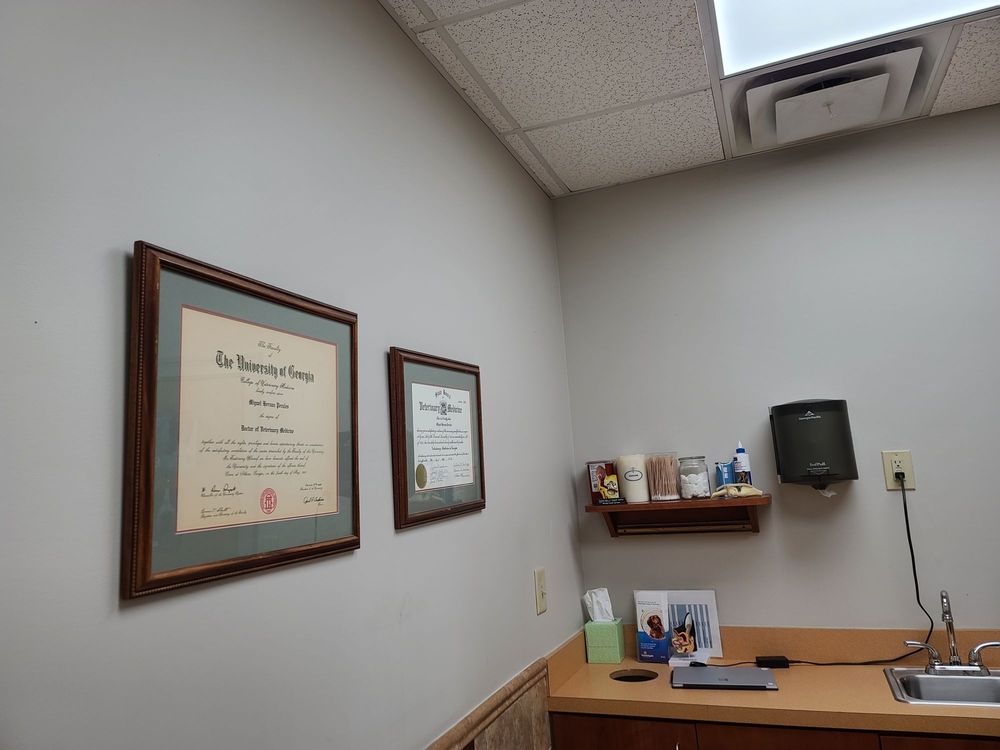 ALPHARETTA ANIMAL HOSPITAL - Updated November 2025 - 23 Photos & 91 ...