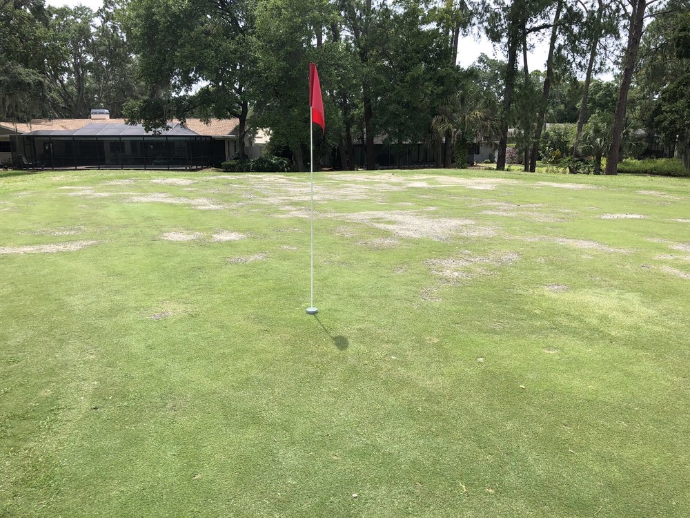 TARPON WOODS GOLF CLUB - 20 Photos & 16 Reviews - 1100 Tarpon Woods ...